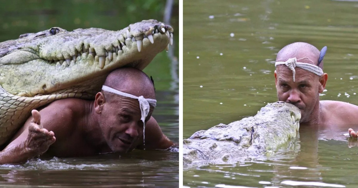 A man saves crocodile’s life, then becomes his best friend. - Loveanimal